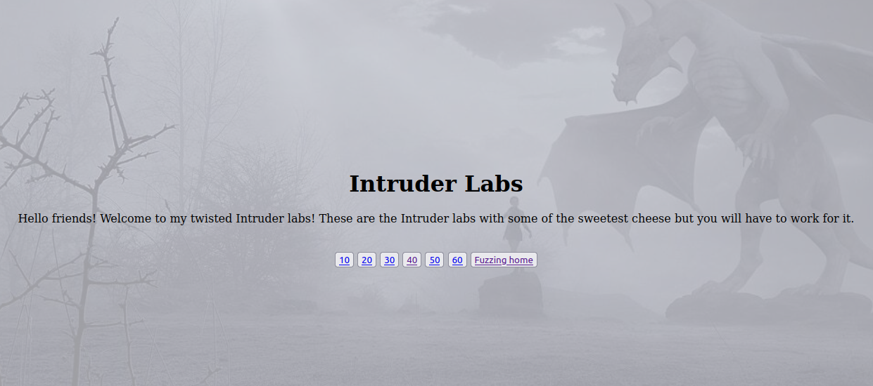 Find Sensitive Files with FFUF - Ott3rly