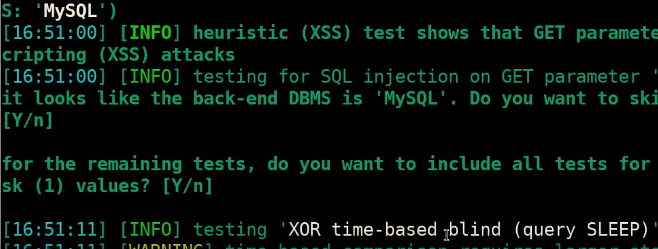 Advanced Sqlmap Customization Otterly 7747